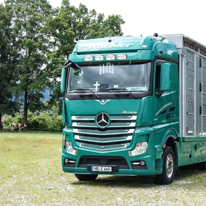 Viehtransporte Kuchler Miesbach